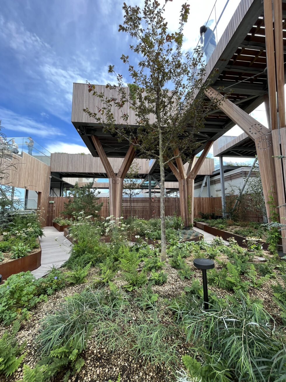 Plan of action | Nordic Campus